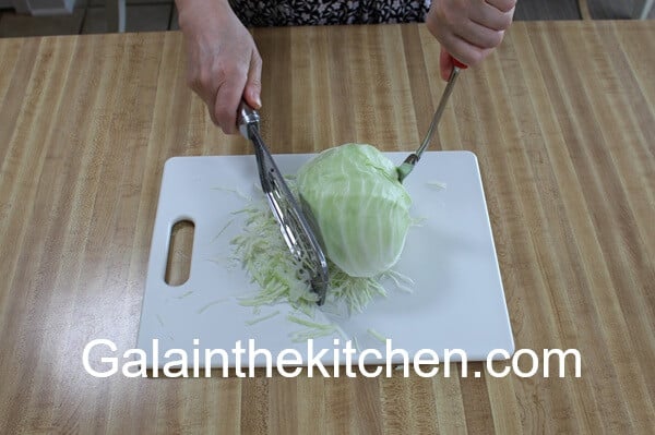 How to Shred Cabbage Into Thin Strips (My Tips) – Gala in the kitchen