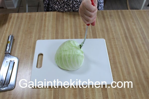 How to Shred Cabbage Into Thin Strips (My Tips) – Gala in the kitchen